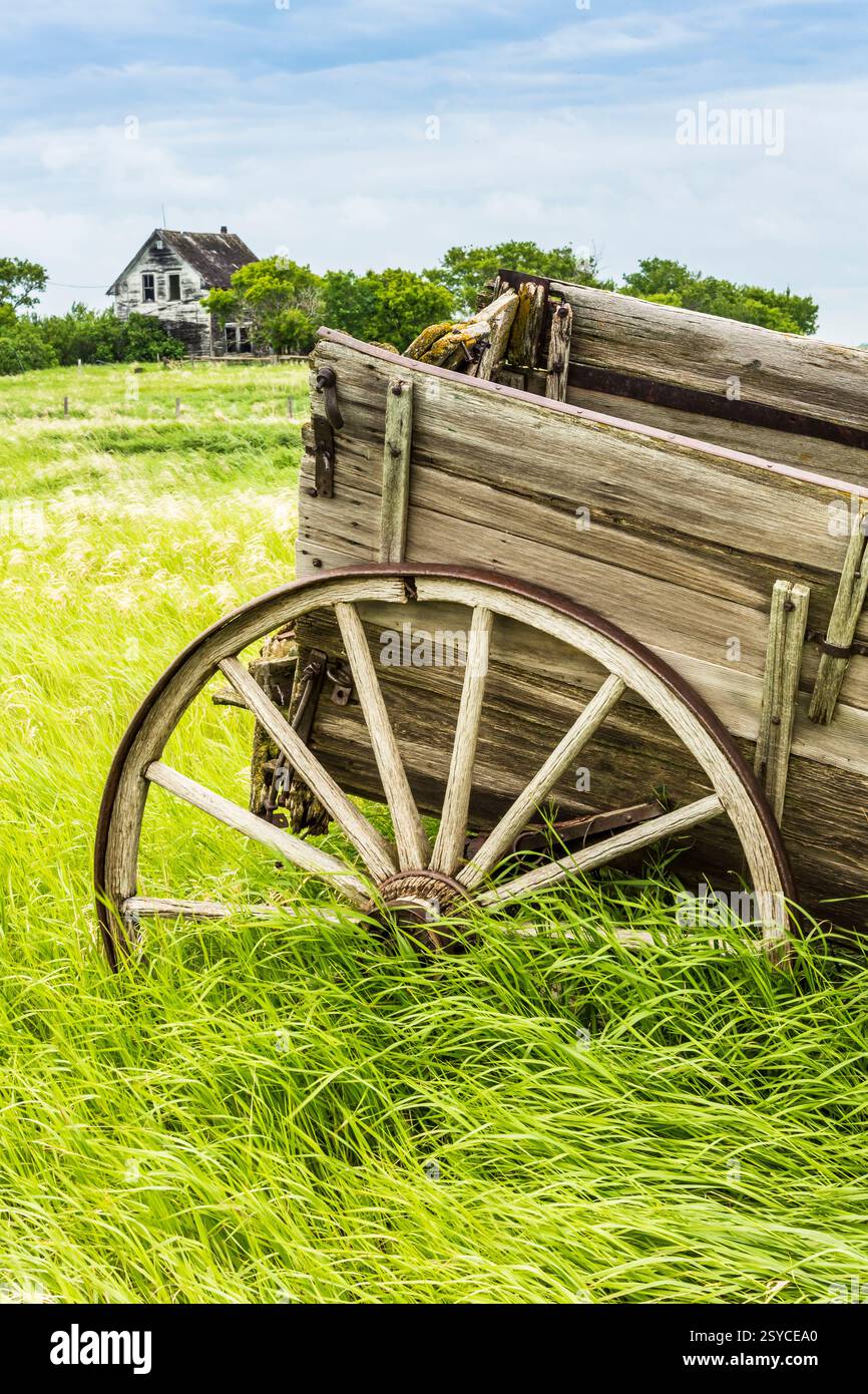Wheel is sitting in the grass next to a barn. The wheel is old and ...