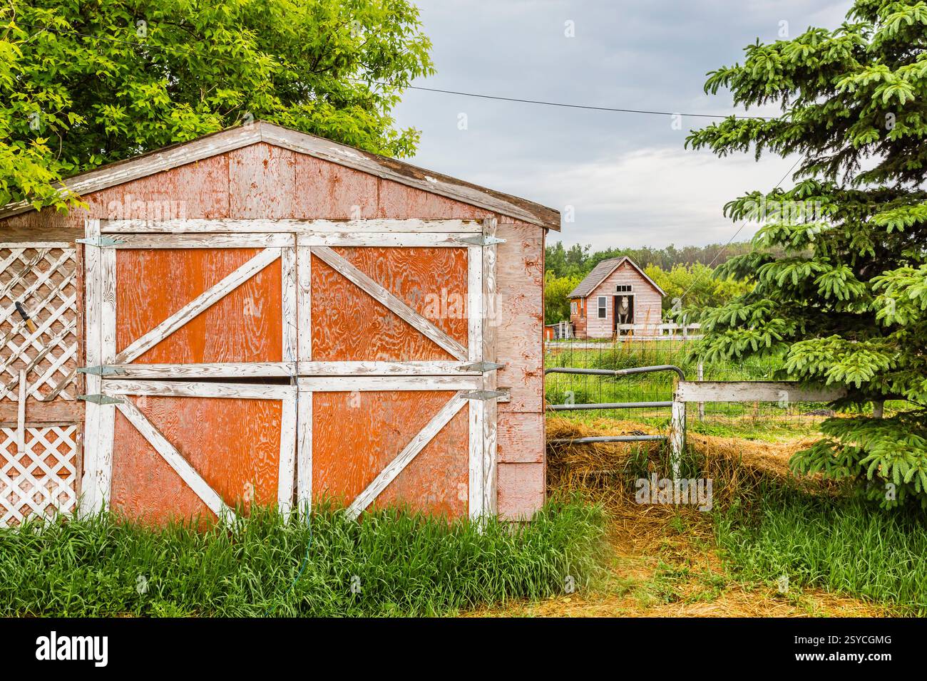 Red barn with white trim sits in a field. The barn has a white door and ...