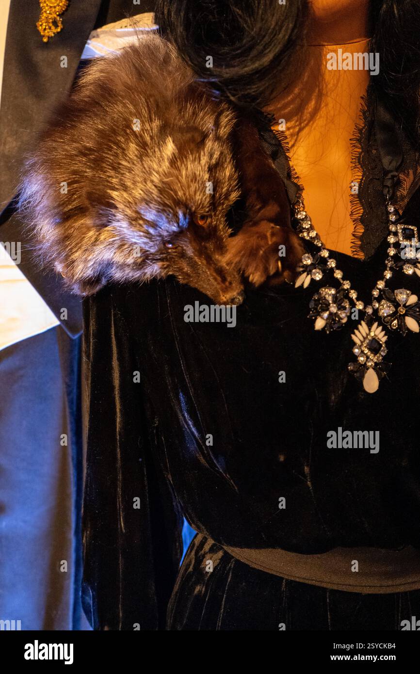 Silver fox skin on shoulders coat mantle. Animal fur in clothes. Old ...