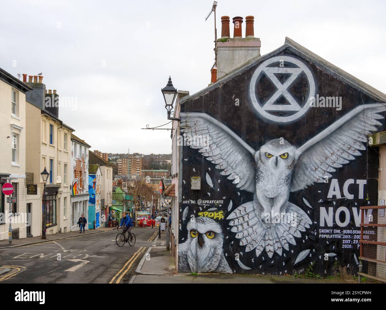 Urban street graffiti owl hi-res stock photography and images - Alamy