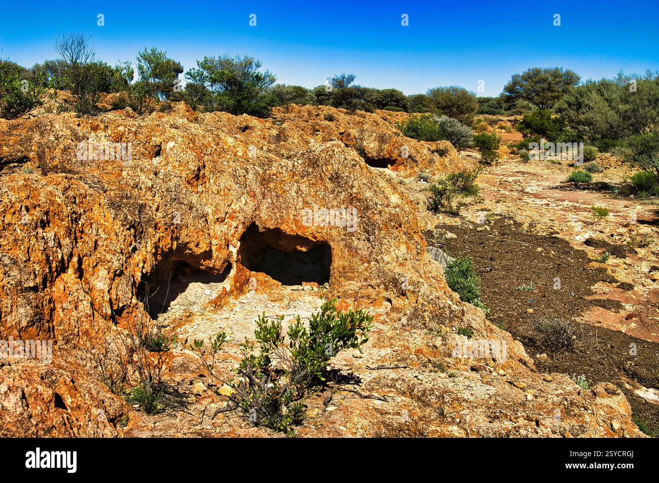 Arid landscape with quartz rocks, caves and stunted outback vegetation ...
