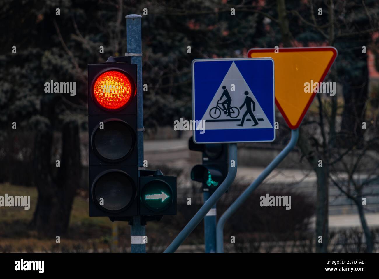 Traffic lights at a pedestrian crossing, red light at a pedestrian ...