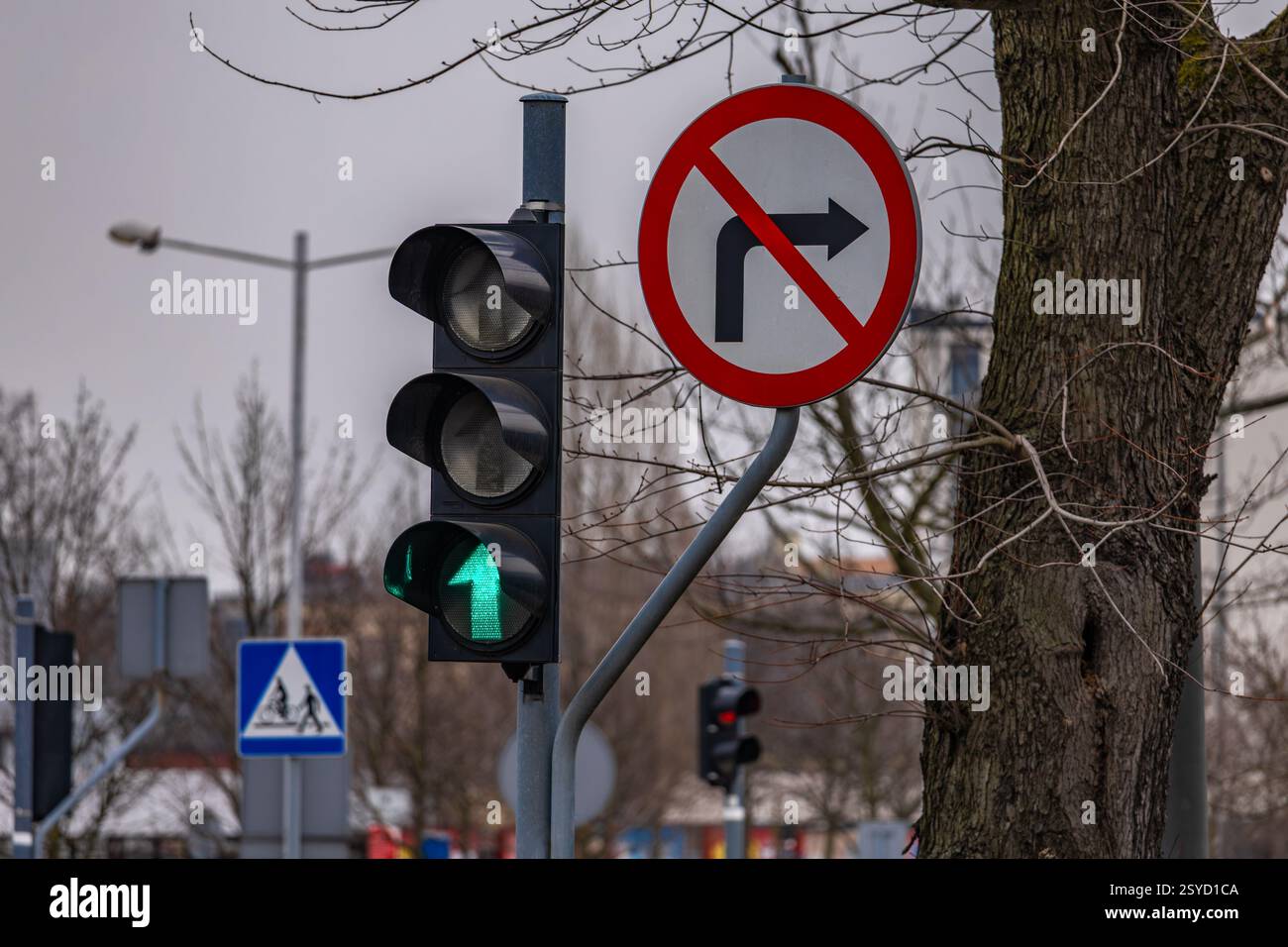 Traffic lights at pedestrian crossing, red light, green light, danger ...