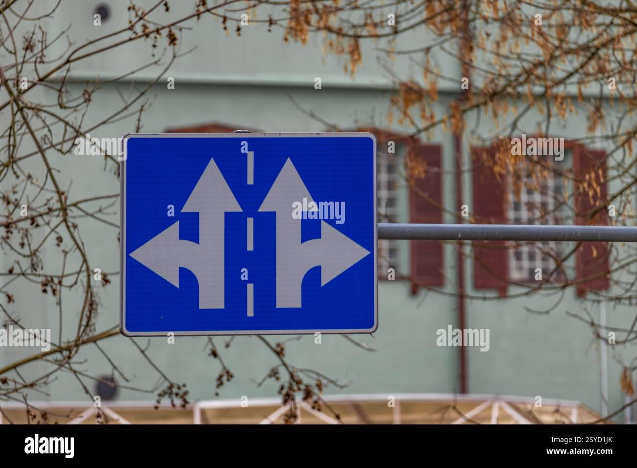 Road signs in the city center, driving lessons, intersection markings ...