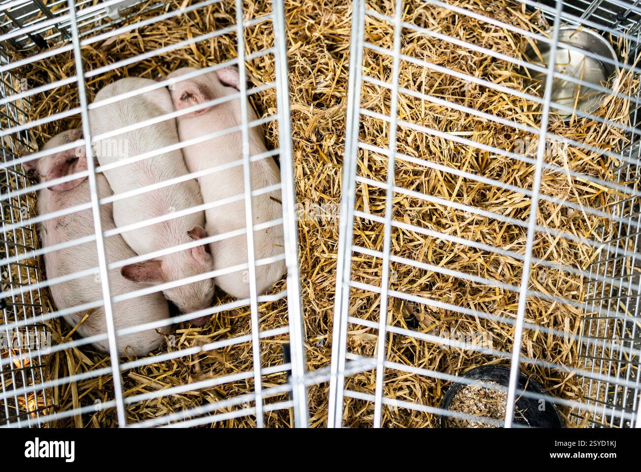 A view of the exhibition "And now you care" by the artist Marco ...