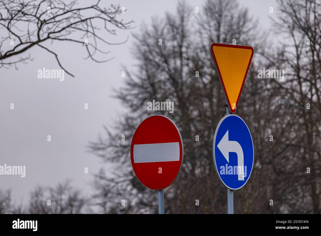 Road signs in the city center, driving lessons, intersection markings ...