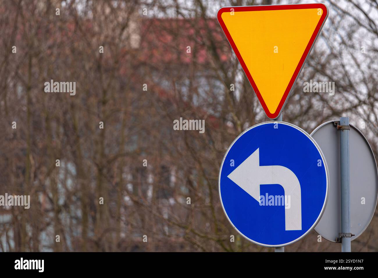 Road signs in the city center, driving lessons, intersection markings ...