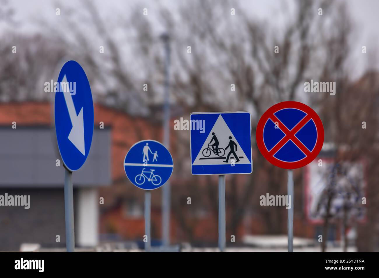Road signs in the city center, driving lessons, intersection markings ...
