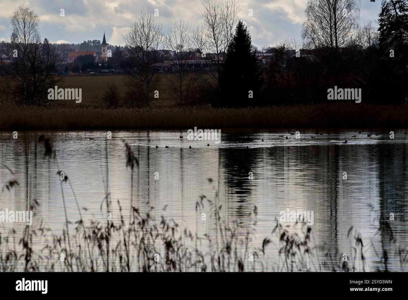 Pond system in the landscape of the Novohradske hory, in Olesnice ...