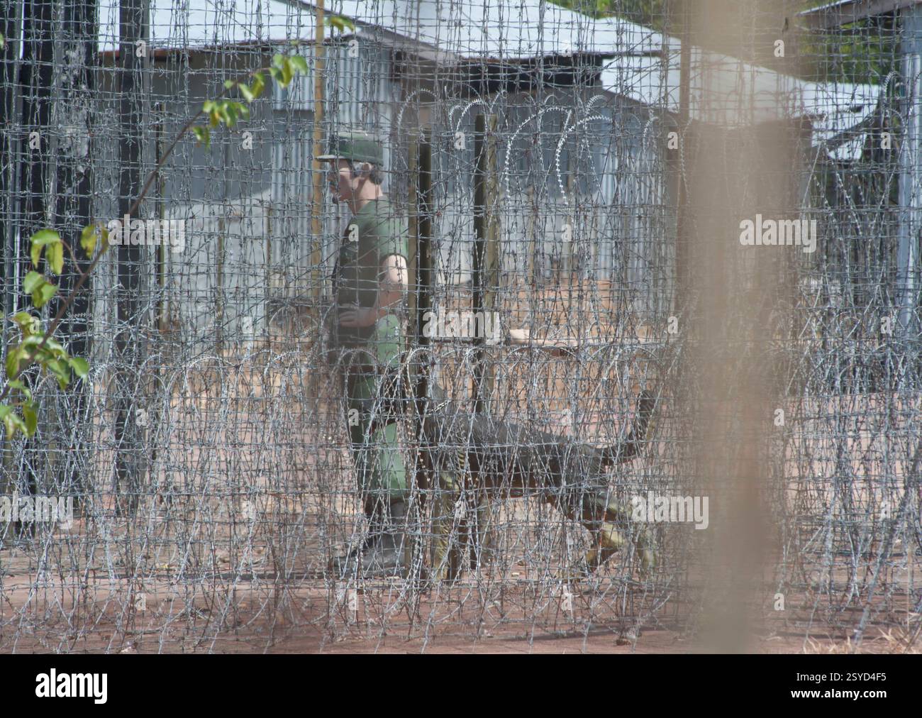 barbed wire as barrier in a prison, measure to prevent outbreaks barbed ...