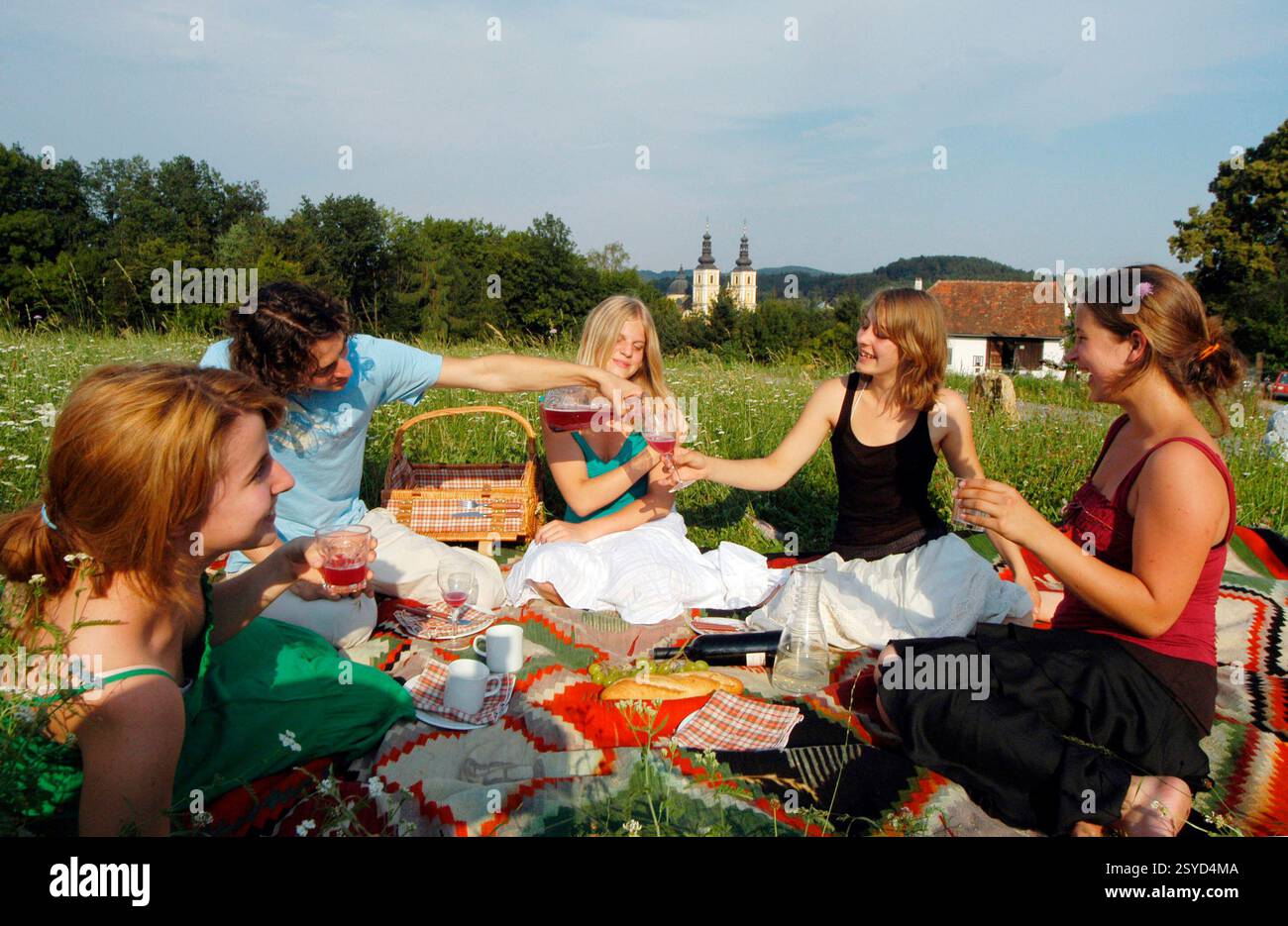 an outdoor picnic in summer, eating food in the sun an outdoor picnic ...