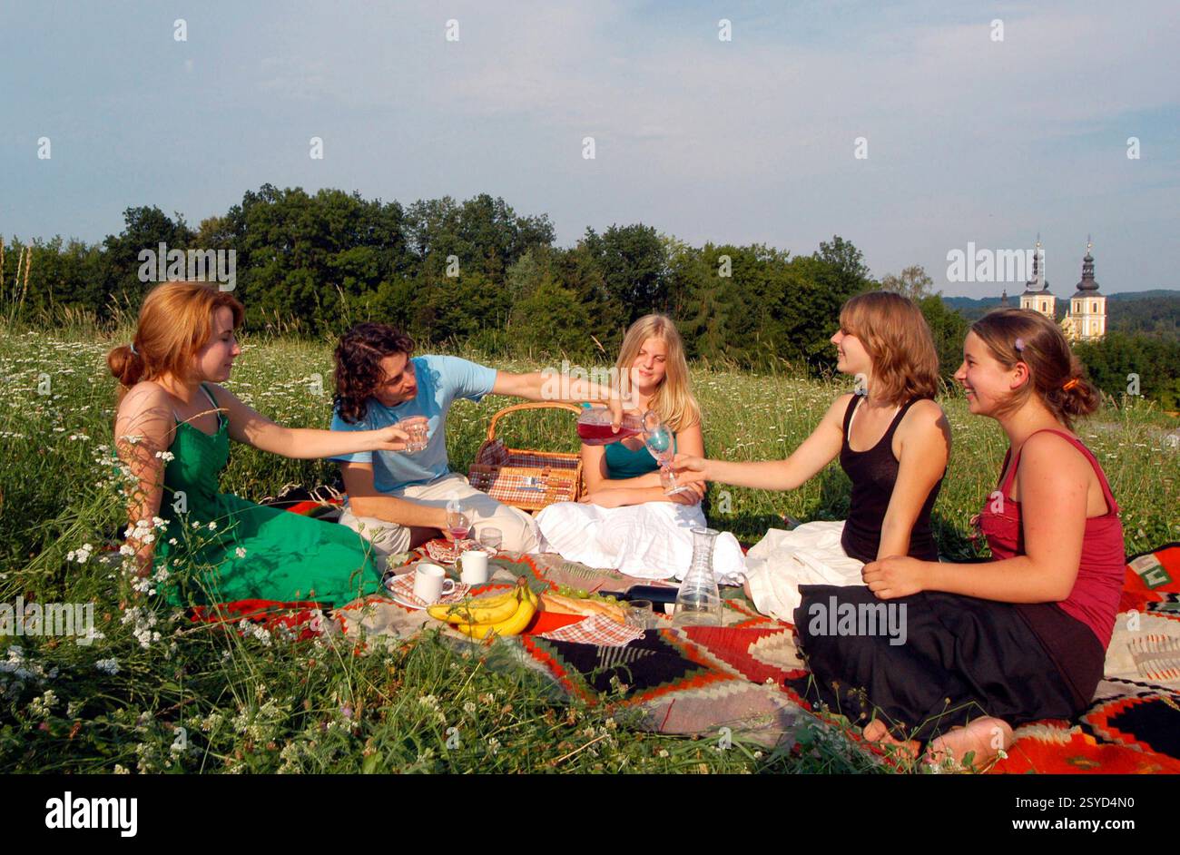 an outdoor picnic in summer, eating food in the sun an outdoor picnic ...