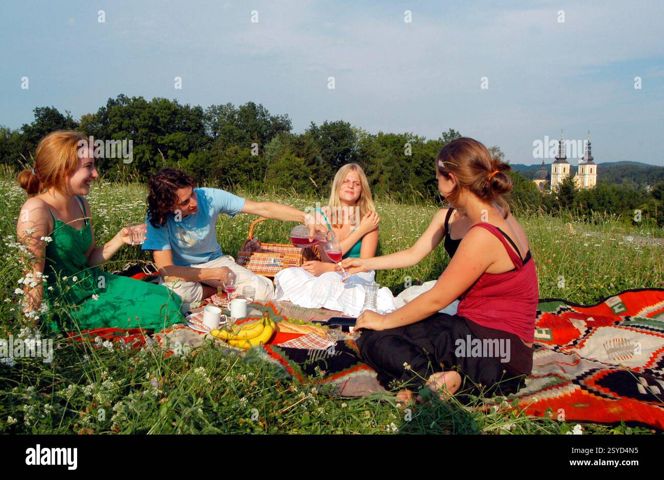 an outdoor picnic in summer, eating food in the sun an outdoor picnic ...