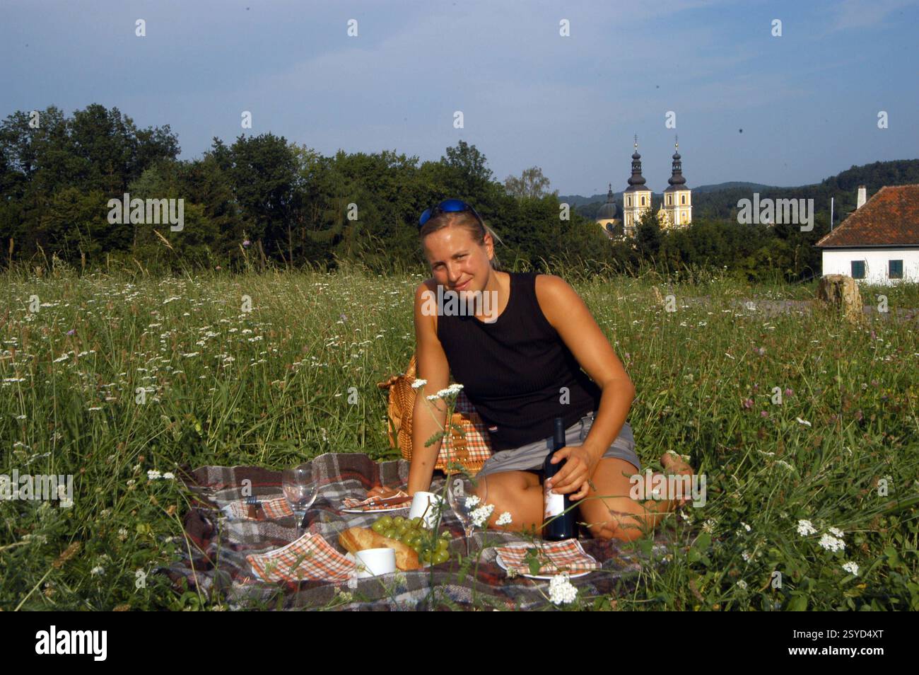 an outdoor picnic in summer, eating food in the sun an outdoor picnic ...