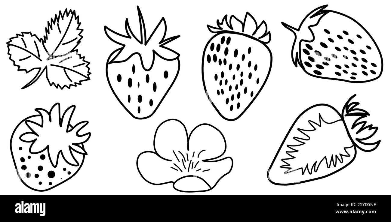 Black and White Line Art of Strawberries with Leaves and Flower Stock ...