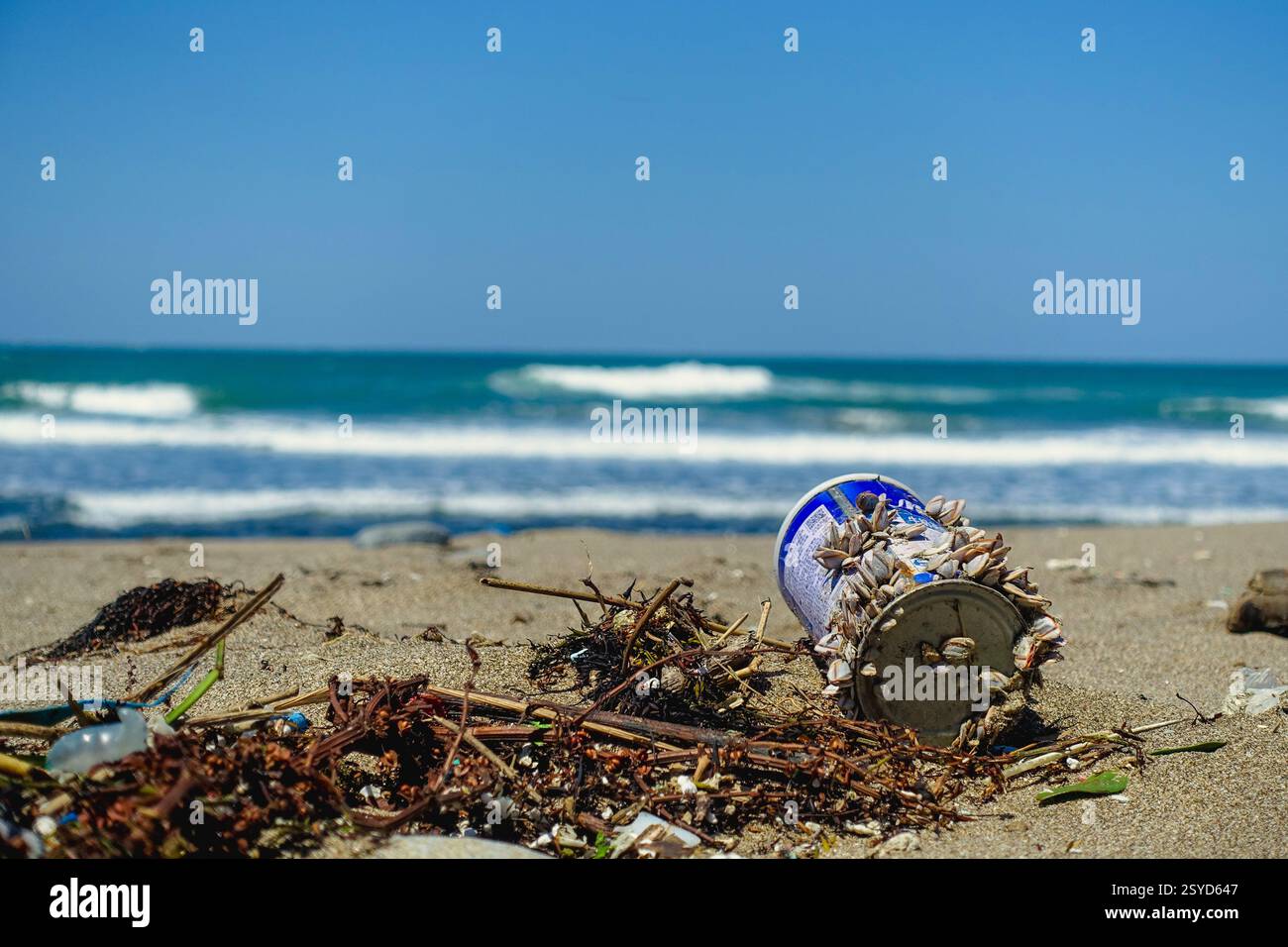 Pollution Warning in the Ecosystem,The Impact of a Discarded Tin Can ...