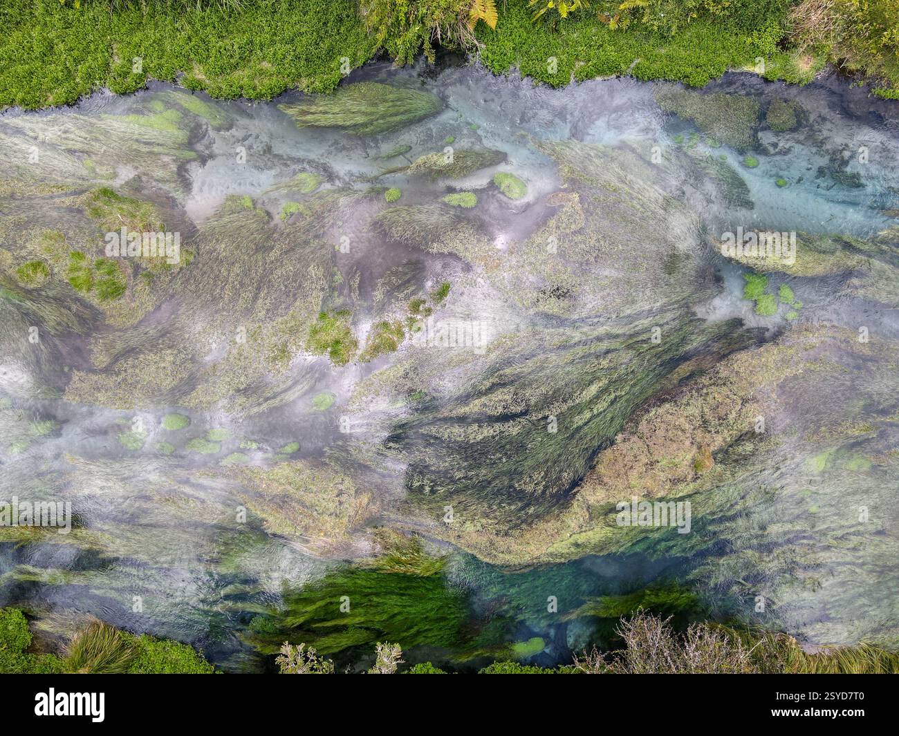 Drone view at Blue Spring river (Te Waihou Walkway) on New Zealand ...
