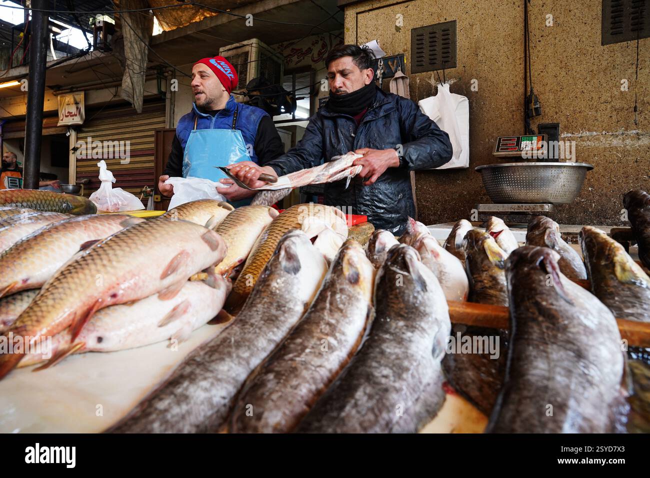 Mosul, Iraq. 27th Feb, 2025. A fish seller stands next to his stall at ...