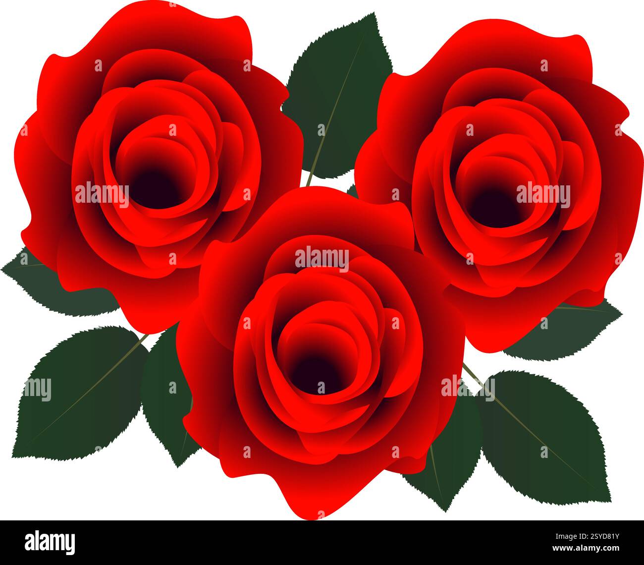 Three red roses rose Stock Vector Images - Alamy
