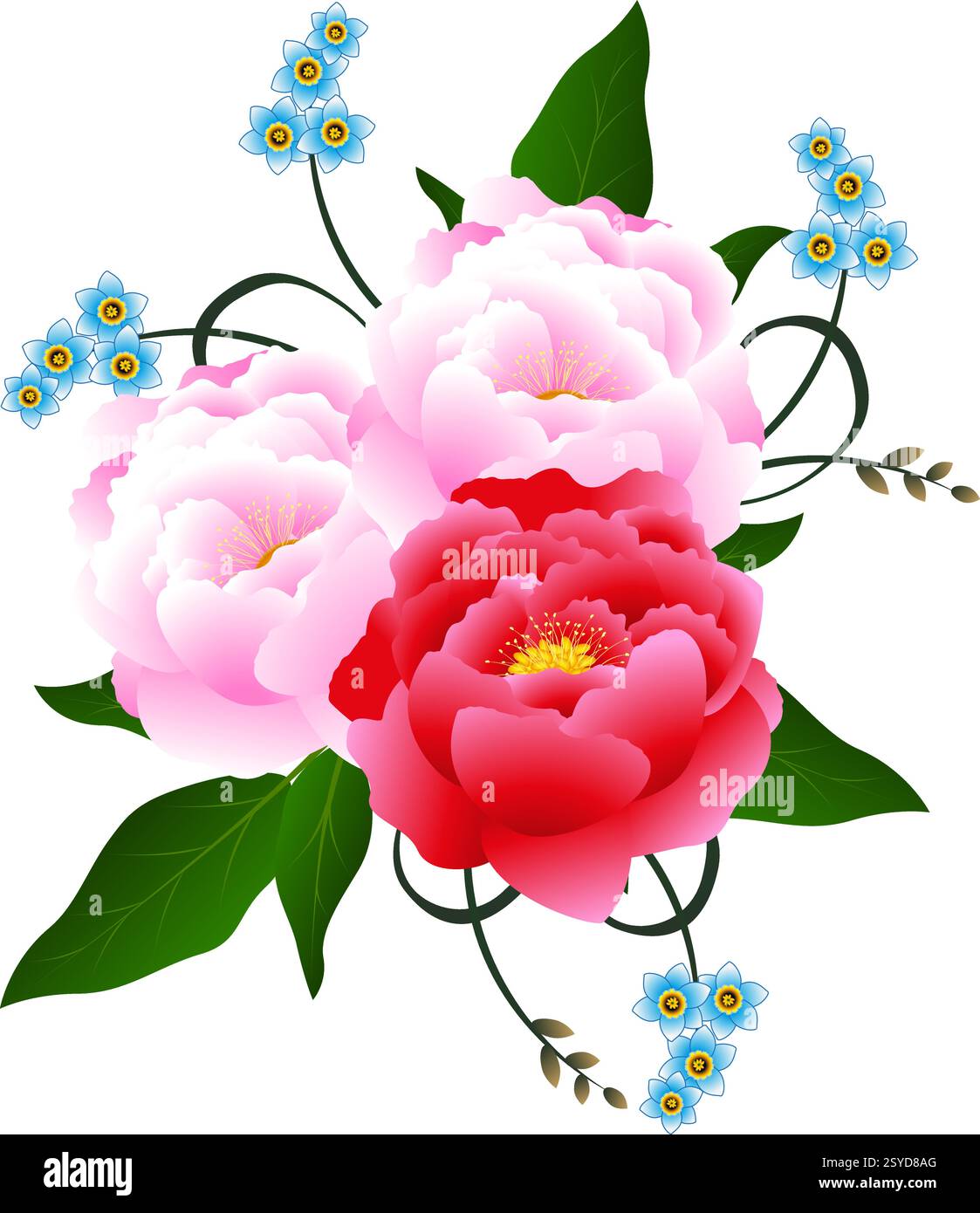 Drawing details flowers plants Cut Out Stock Images & Pictures - Alamy