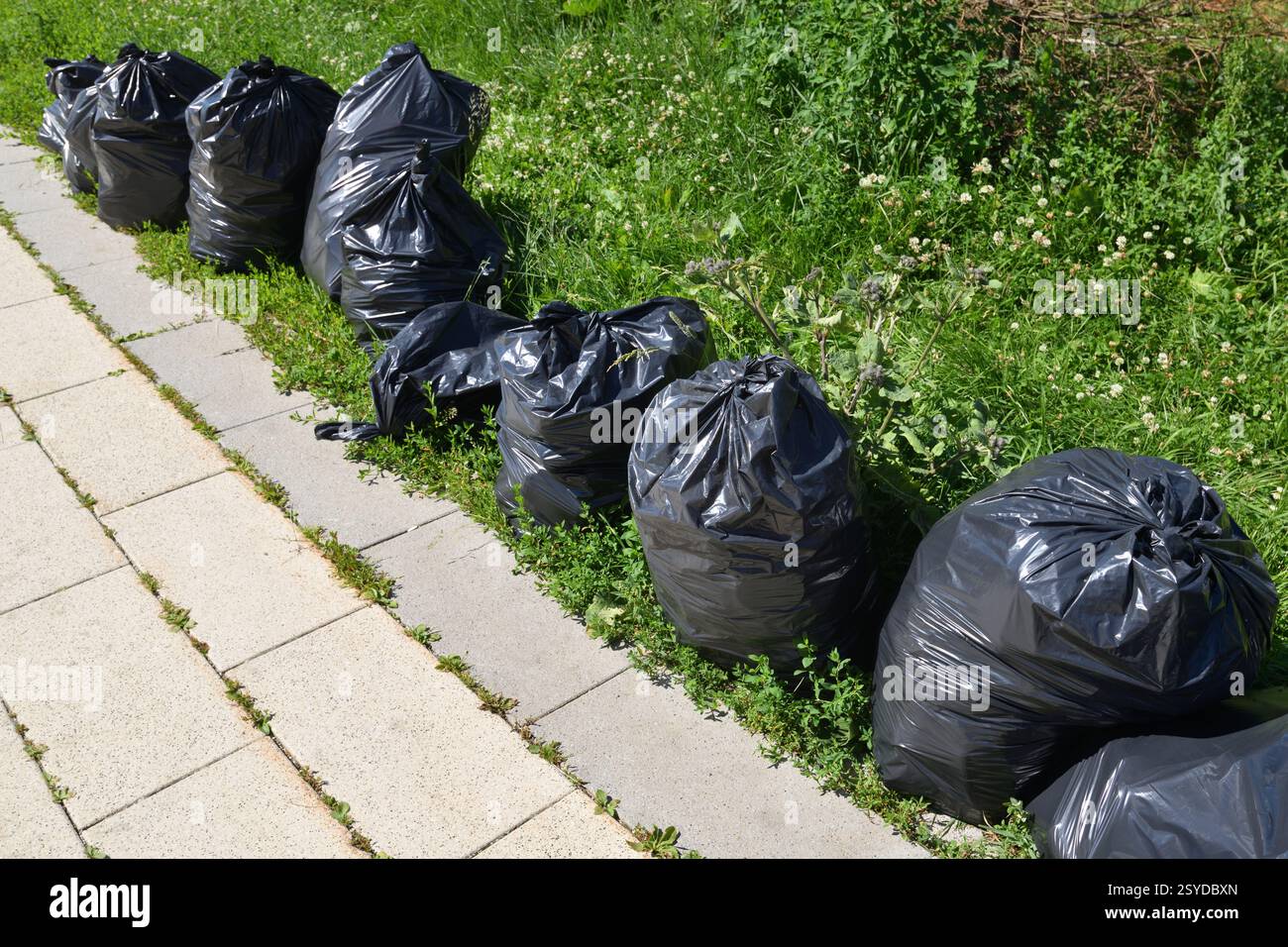 Black polythene bags hi-res stock photography and images - Alamy
