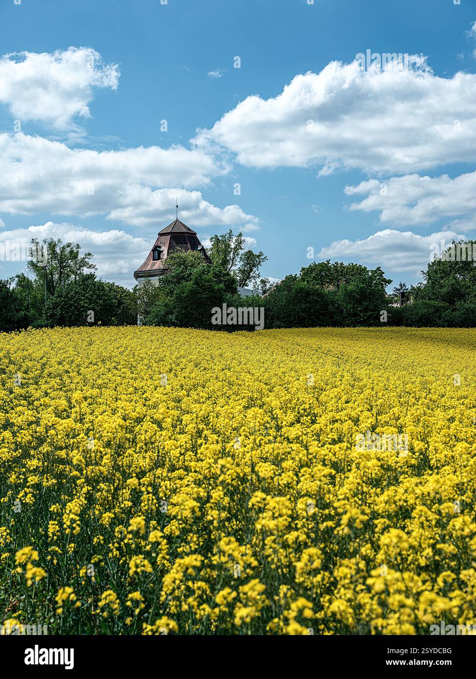Schloss thiergarten hi-res stock photography and images - Alamy