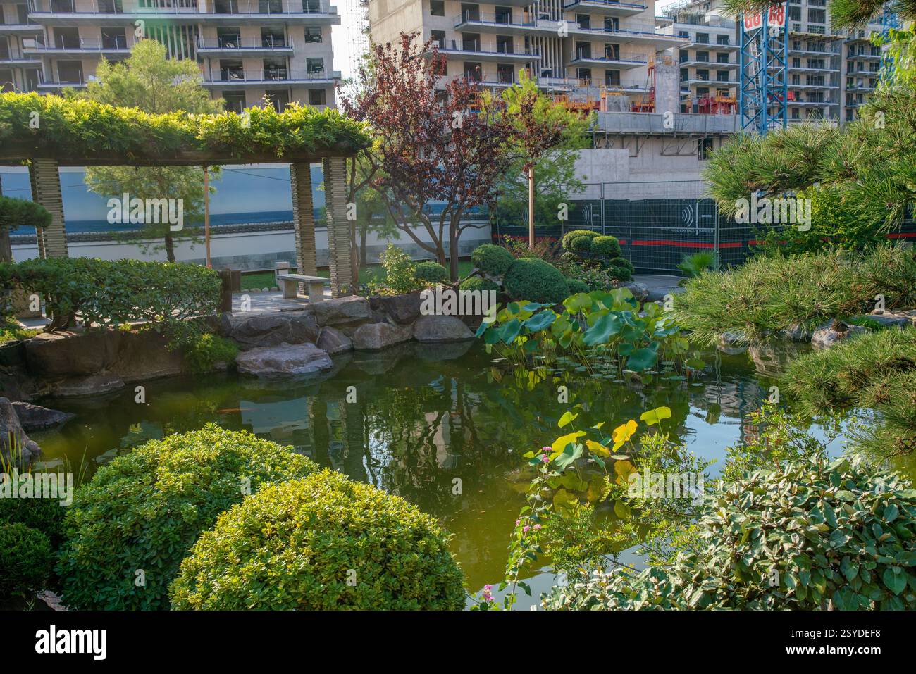 Awe Japanese garden in Monte Carlo (Monaco) . Pond and pagoda pavilion. Constructing buildings ...
