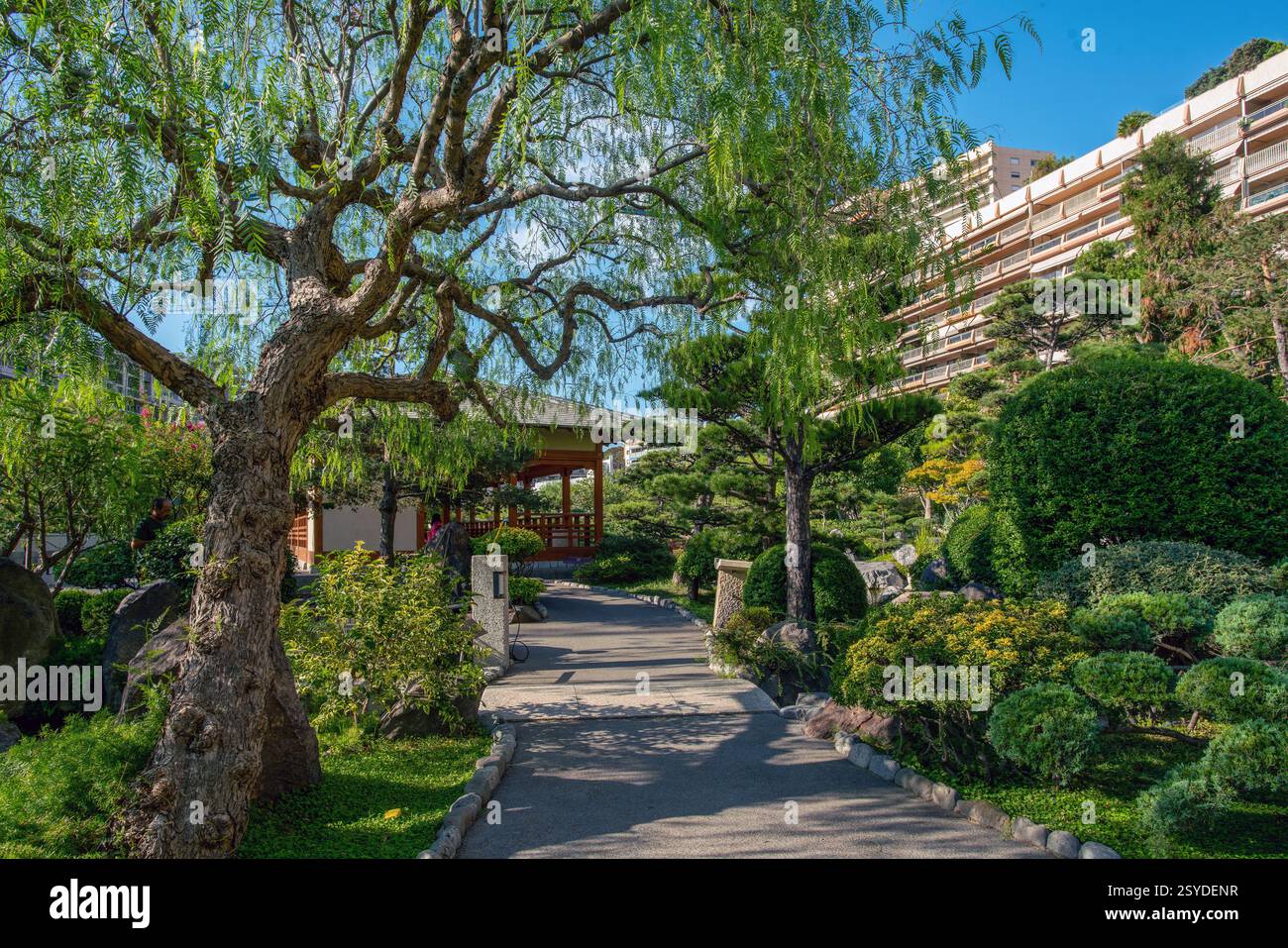Japanese garden in Monte-Carlo (Monaco) topiary bushes and small stone fountain. Stone alntern ...