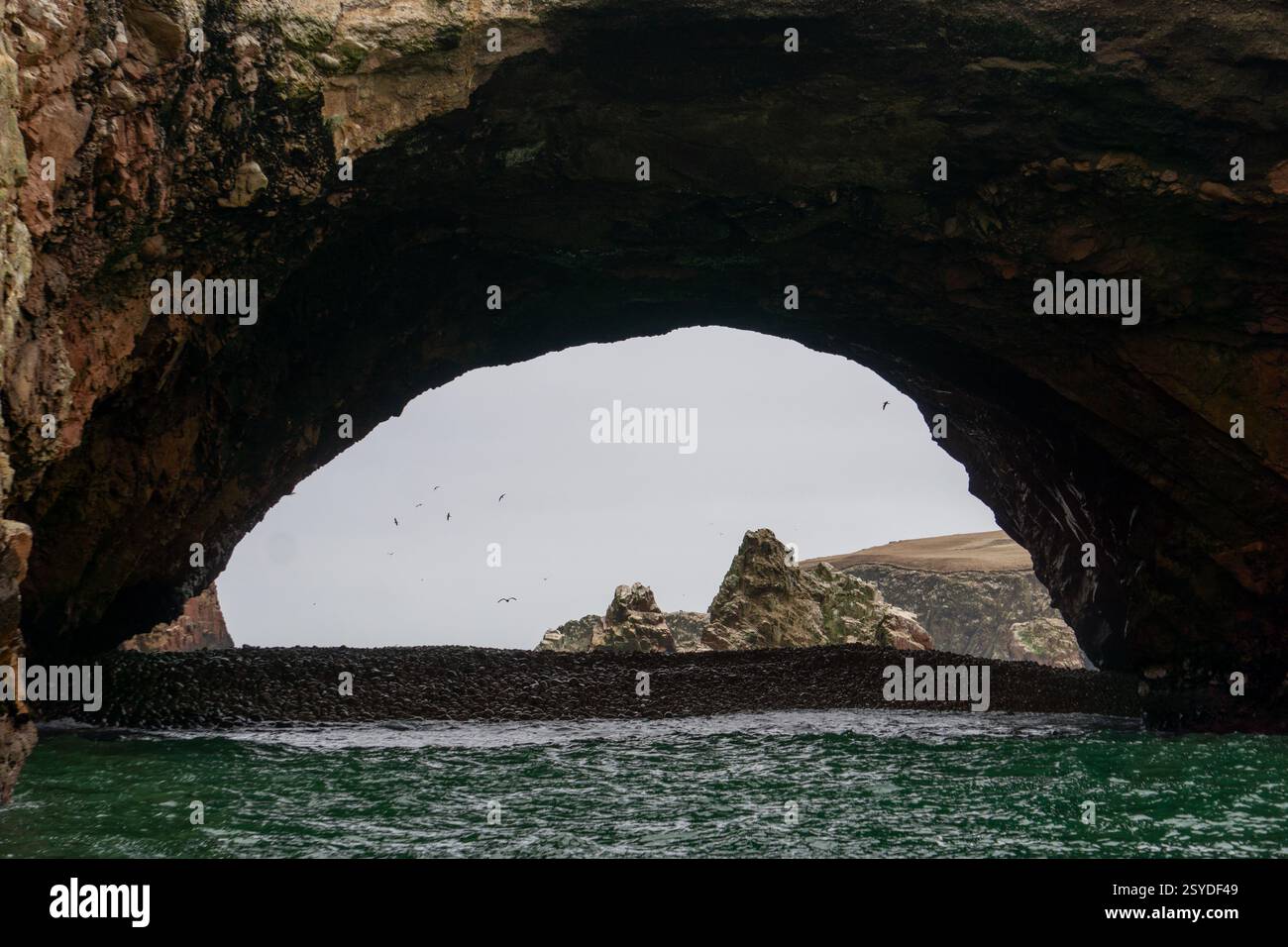 Ballestas Islands Peru known for rugged cliffs seabirds marine wildlife ...