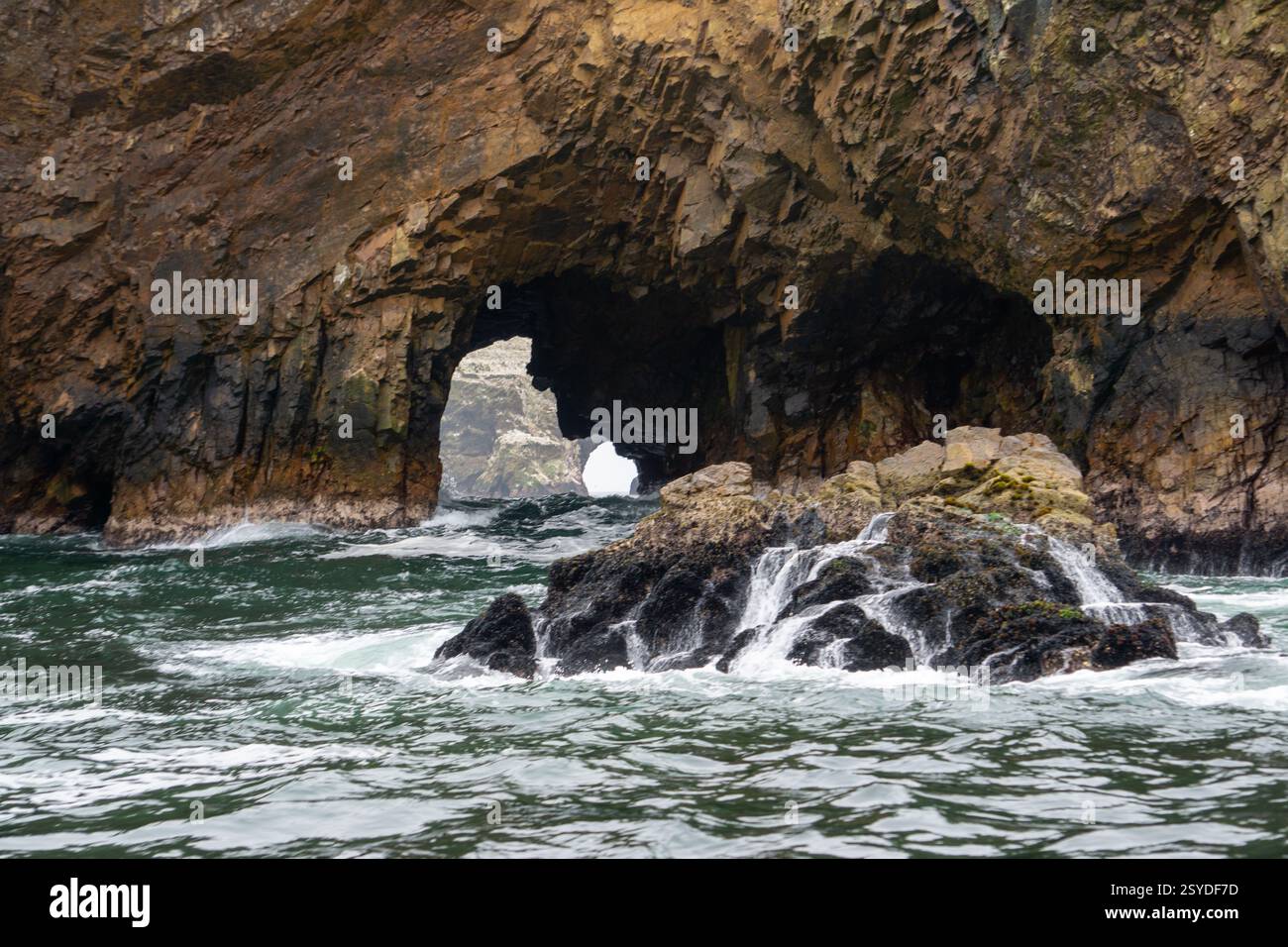 Ballestas Islands Peru known for rugged cliffs seabirds marine wildlife ...