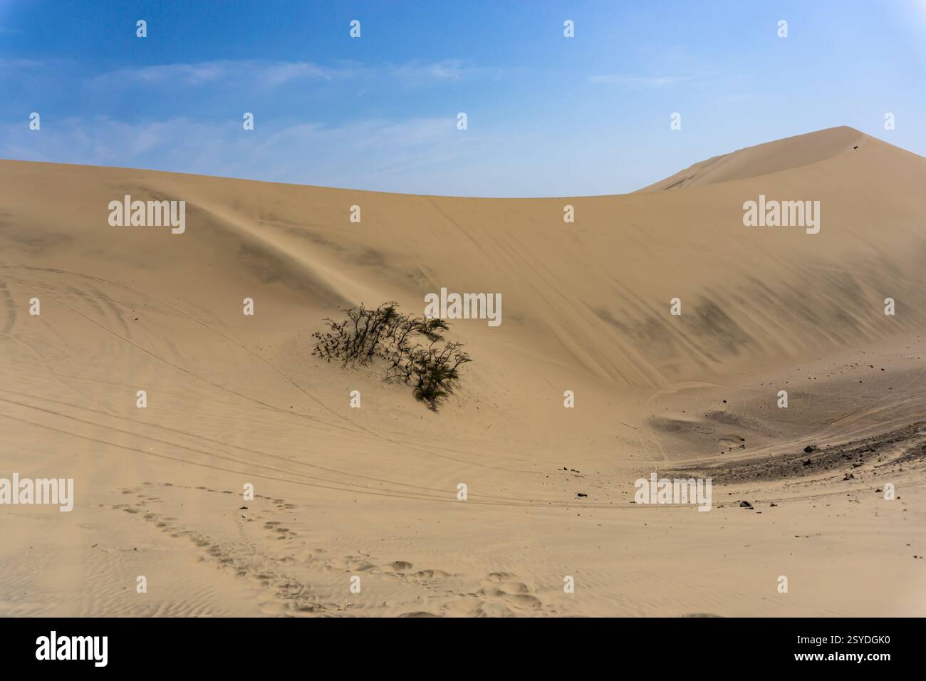 Beautiful Huacachina Oasis in the Ica desert Peru featuring palm trees ...