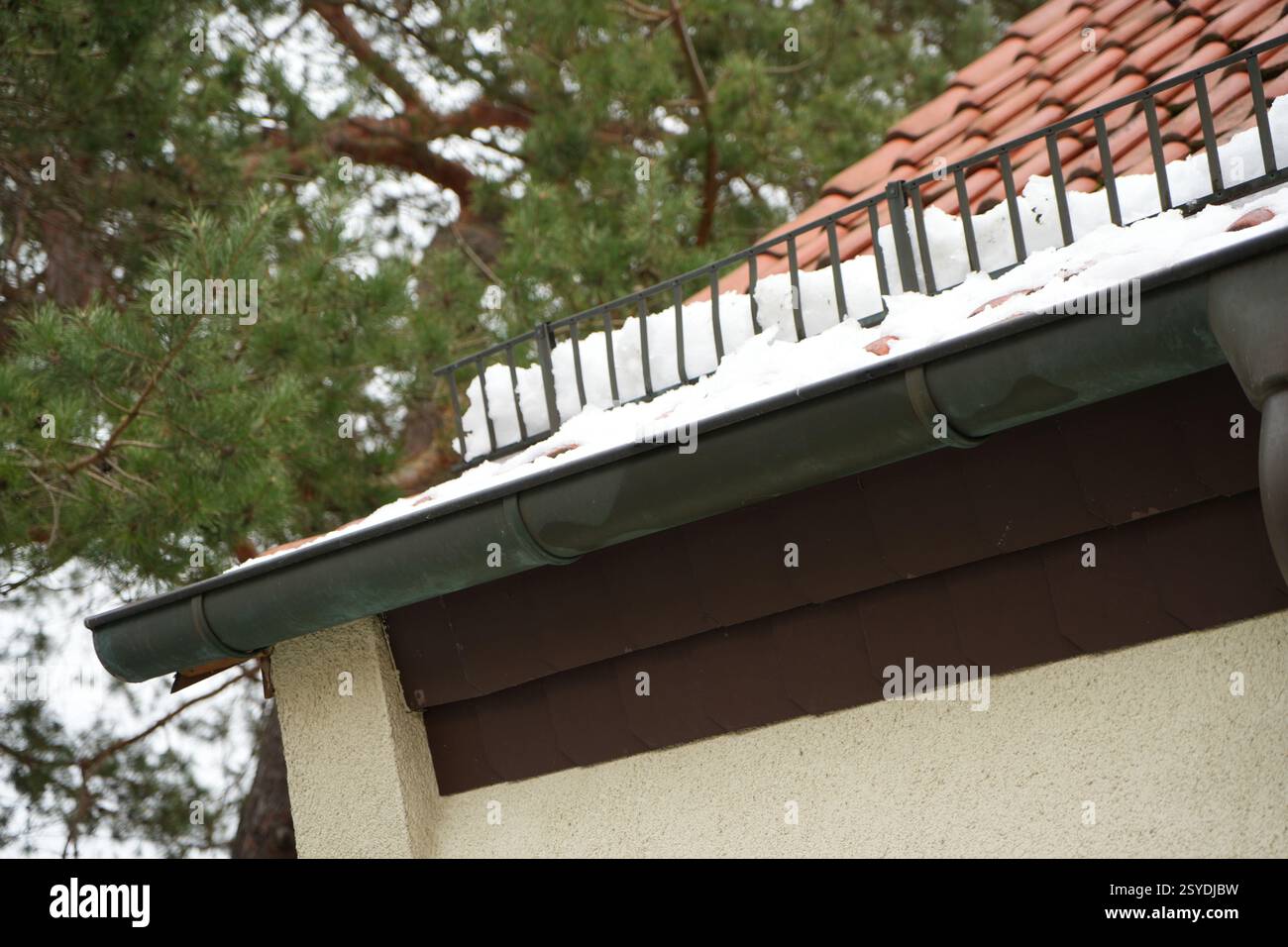 House roof with wet snow at a metal grid, snow guard, pine trees in ...