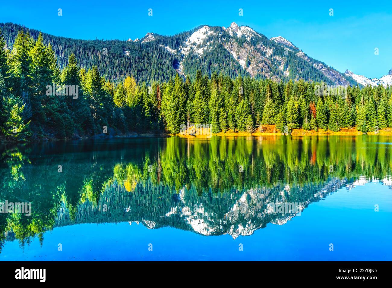 Gold Lake Gold Creek Pond Reflection Snow Mountain Peak Fall Snoqualme ...