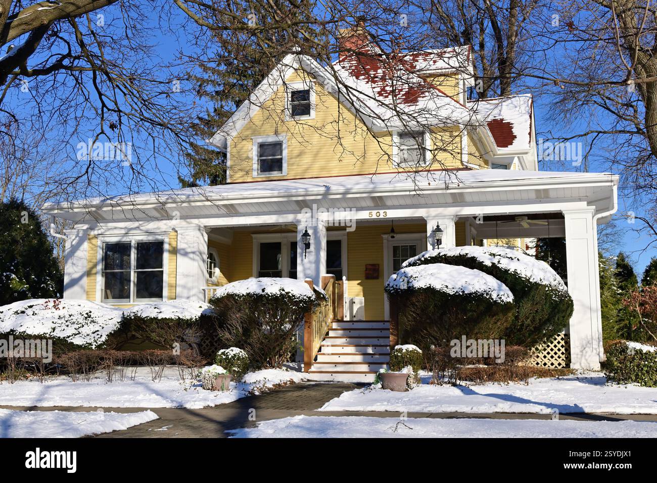 Wheaton, Illinois, USA. Snow clings to the top of bushes and hedges and ...