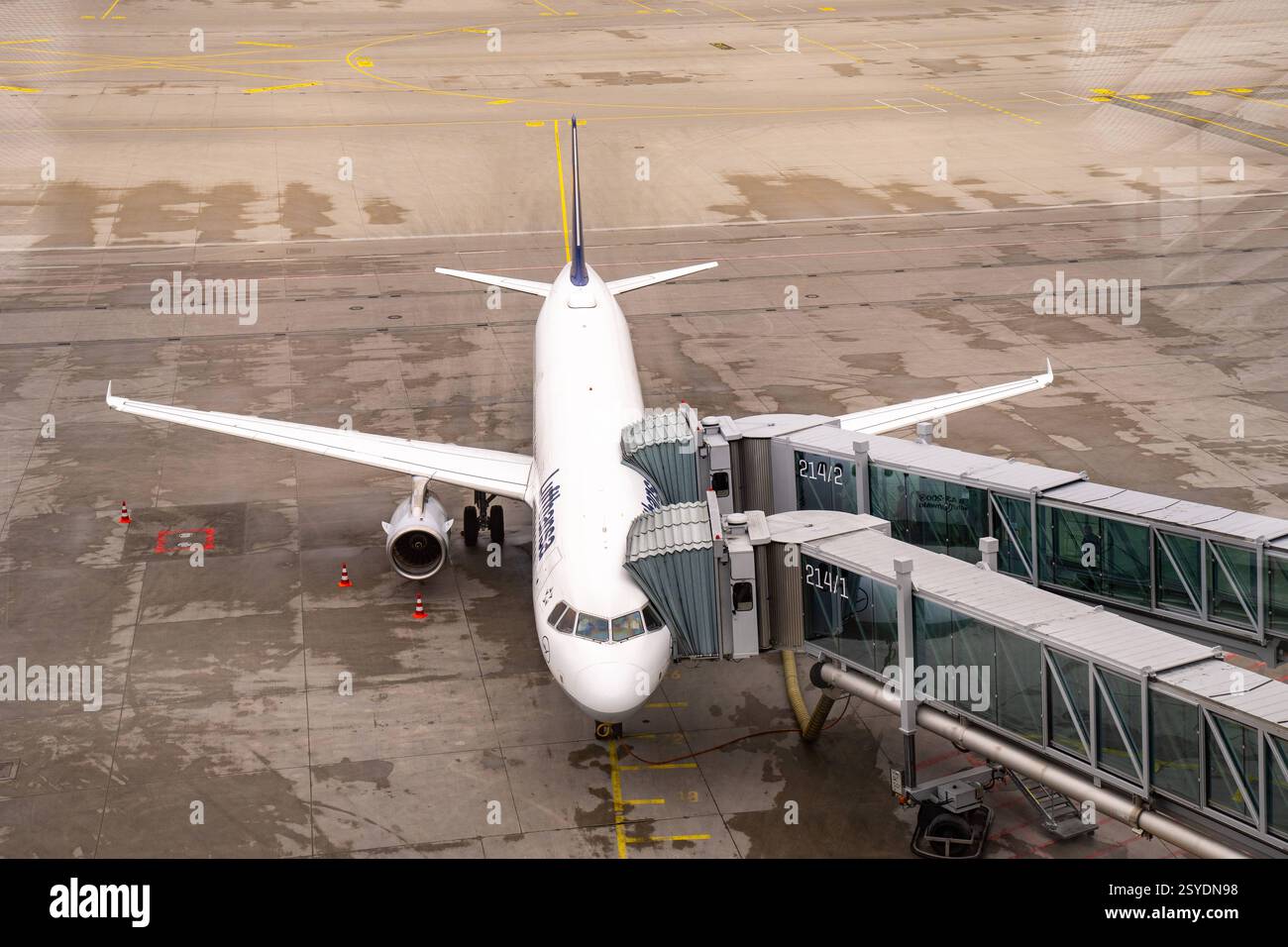 Munich, Bavaria, Germany - February 28, 2025: A Lufthansa Airbus A321 ...