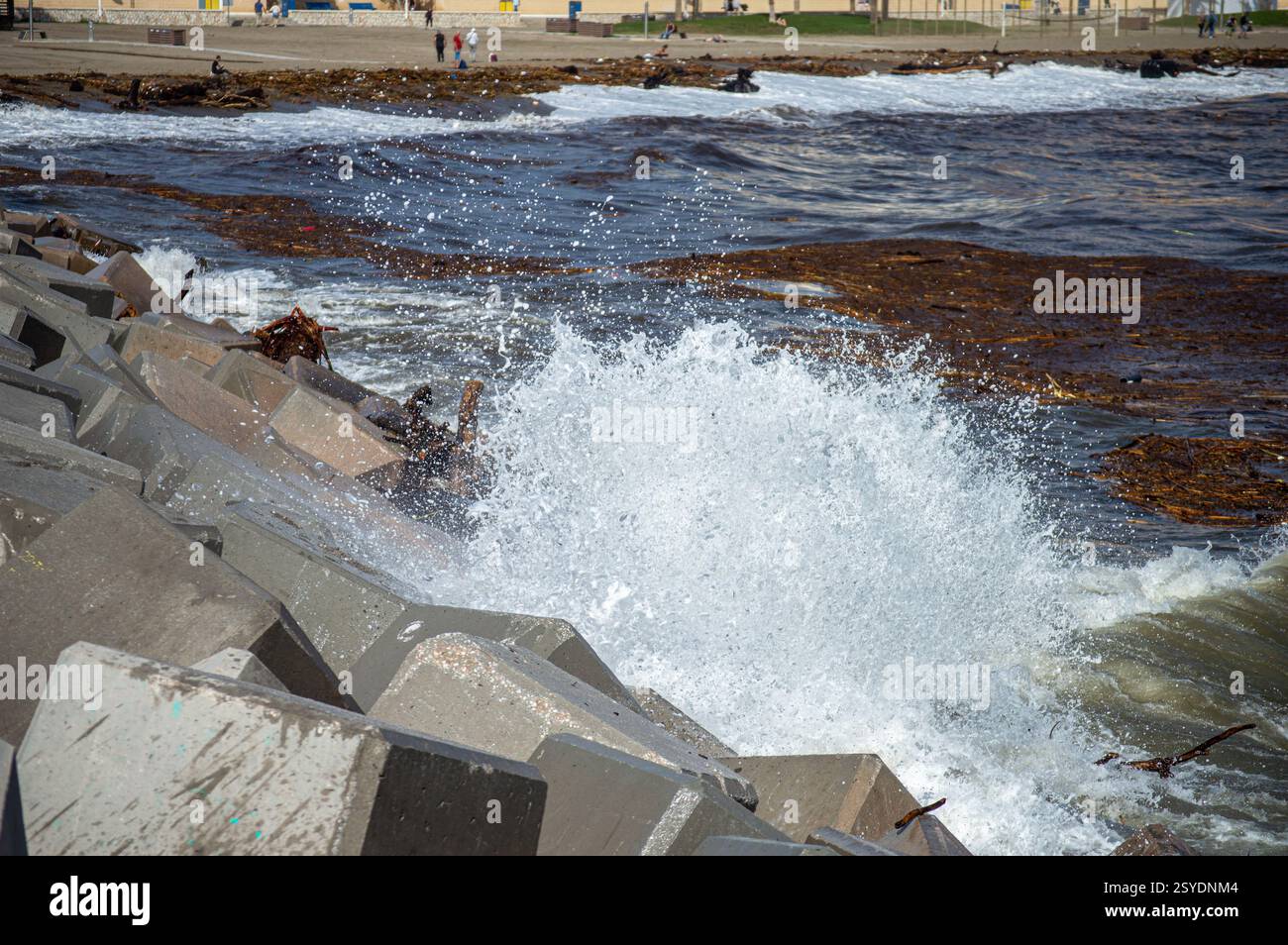MALAGA, SPAIN - NOVEMBER 15, 2024: Coastal flooding and garbage caused ...