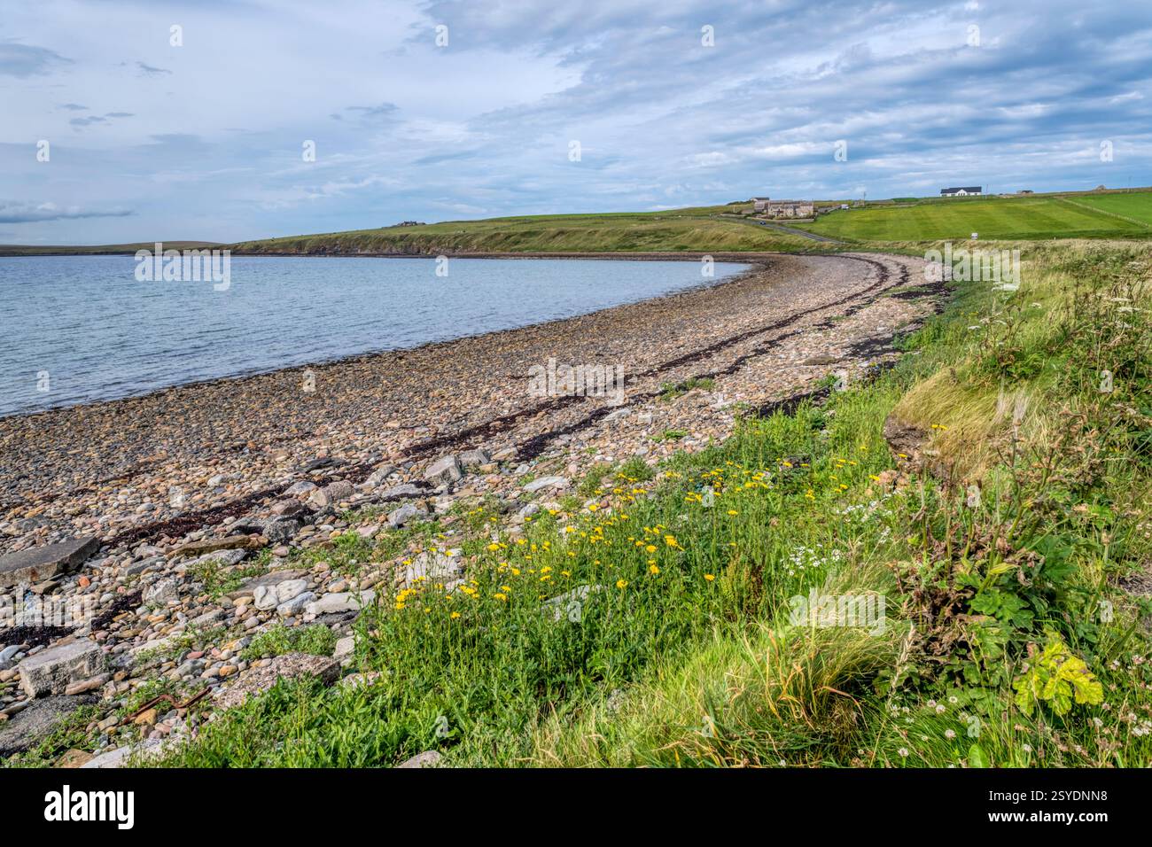 Echnaloch Bay on Burray, Orkney Stock Photo - Alamy