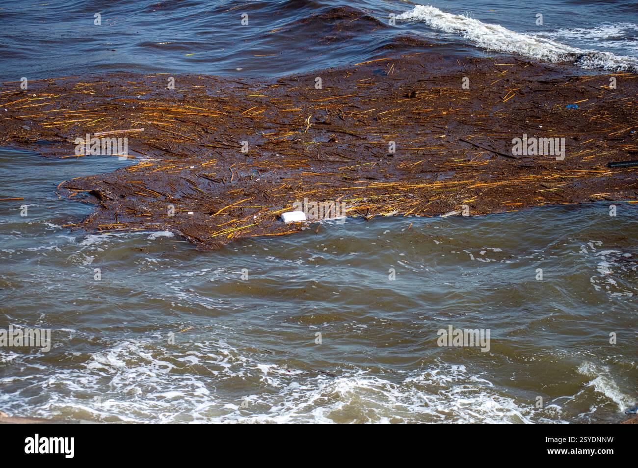 MALAGA, SPAIN - NOVEMBER 15, 2024: Coastal flooding and garbage caused ...