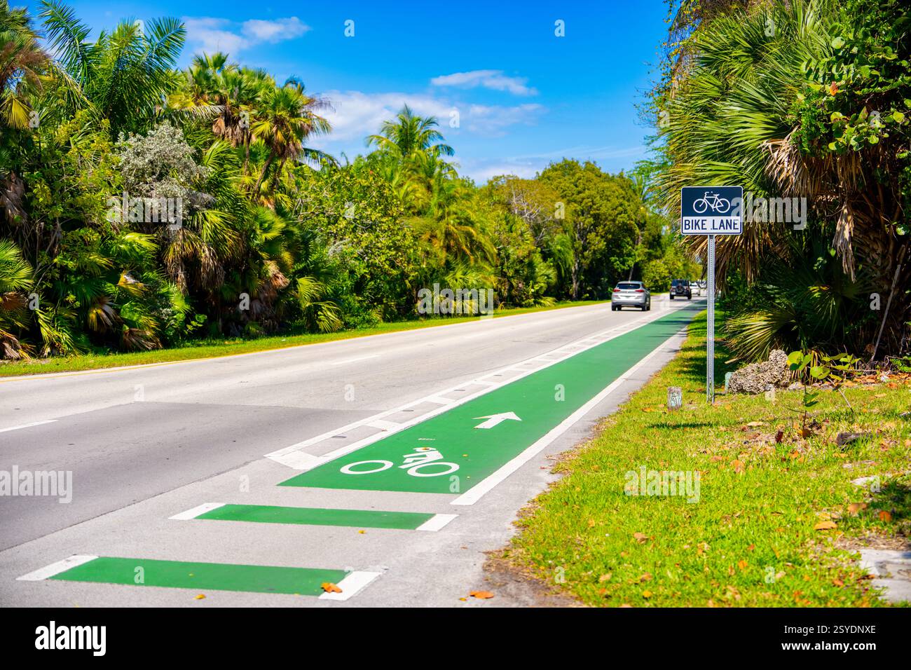 Bike path key biscayne miami hi-res stock photography and images - Alamy
