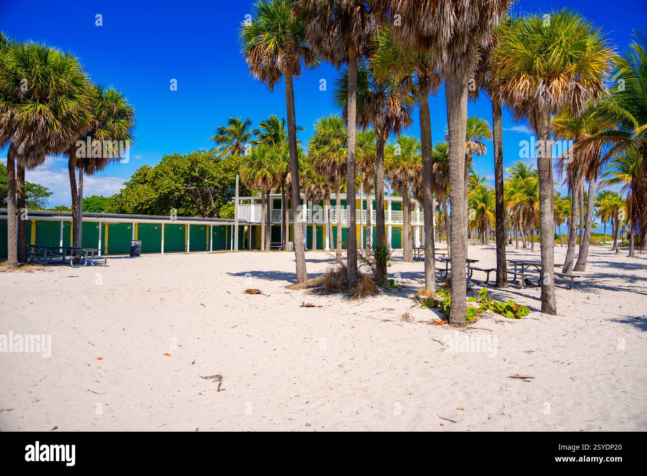 Beach park Miami crandon sand Stock Photo - Alamy
