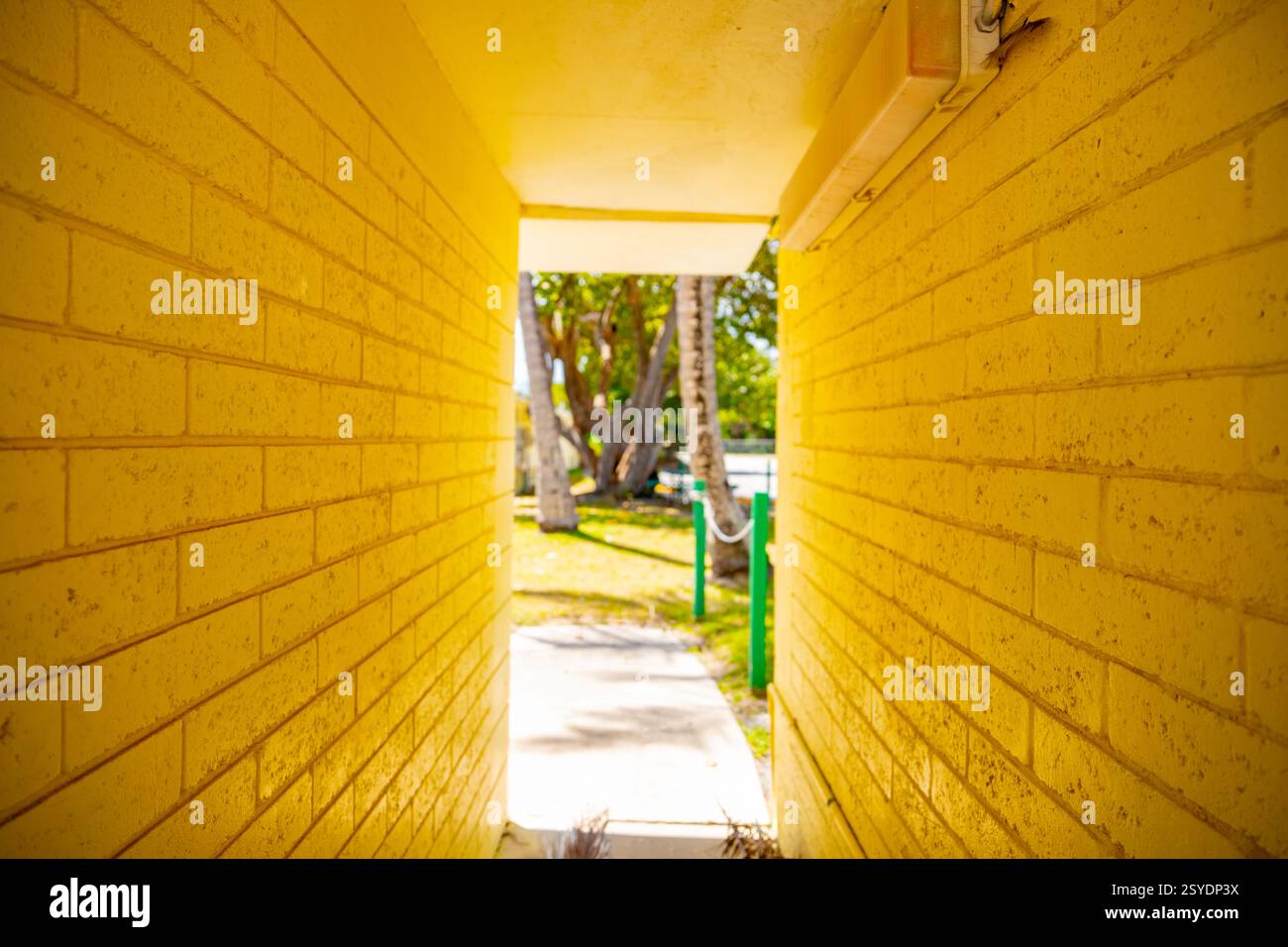 Narrow path through colorful hi-res stock photography and images - Alamy