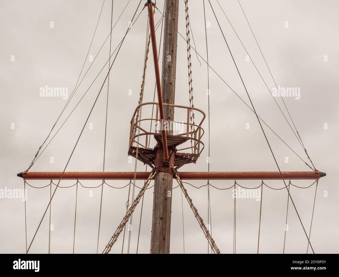 Close up crows nest hi-res stock photography and images - Alamy
