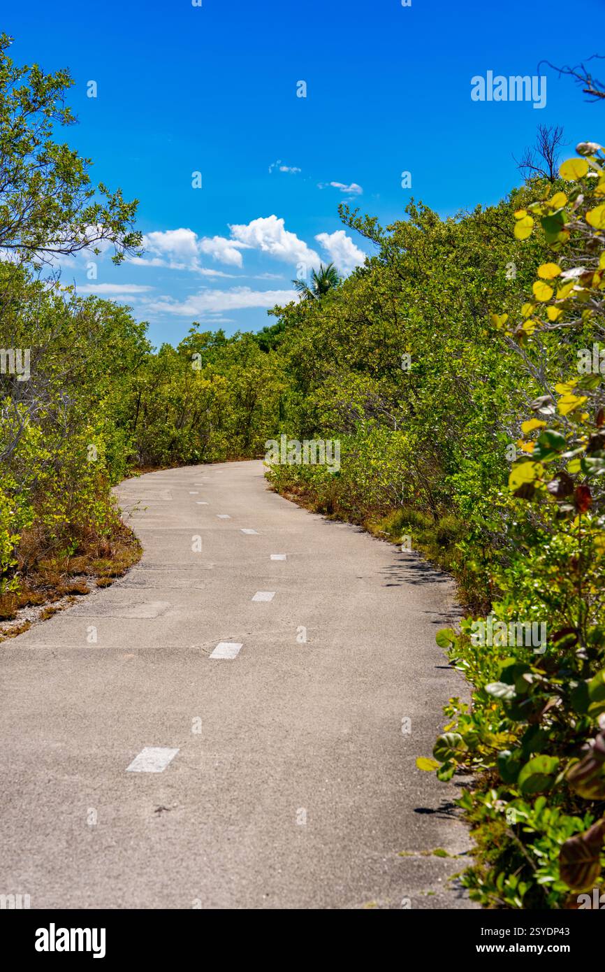Bike path key biscayne miami hi-res stock photography and images - Alamy