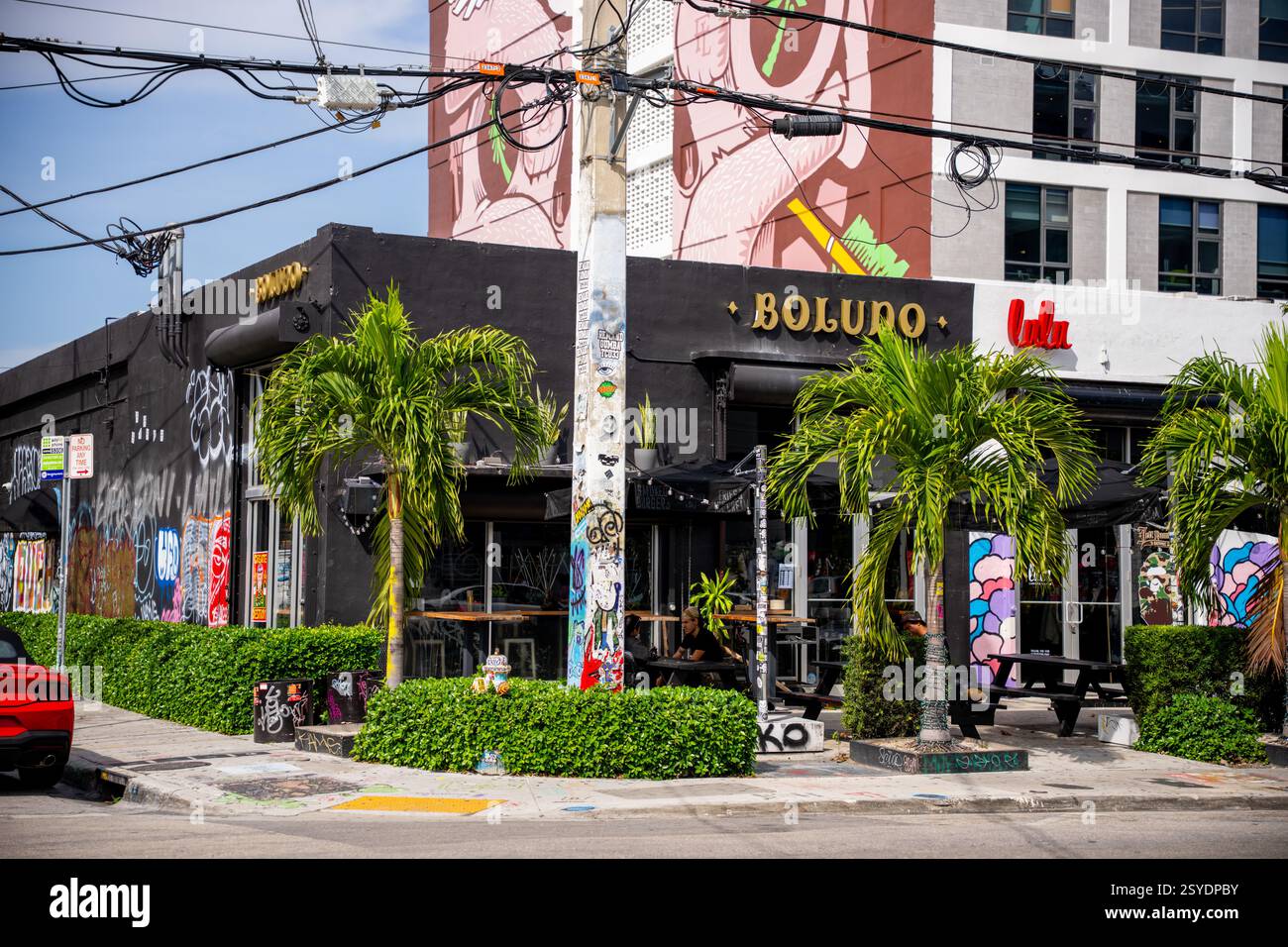 Boludo hi-res stock photography and images - Alamy