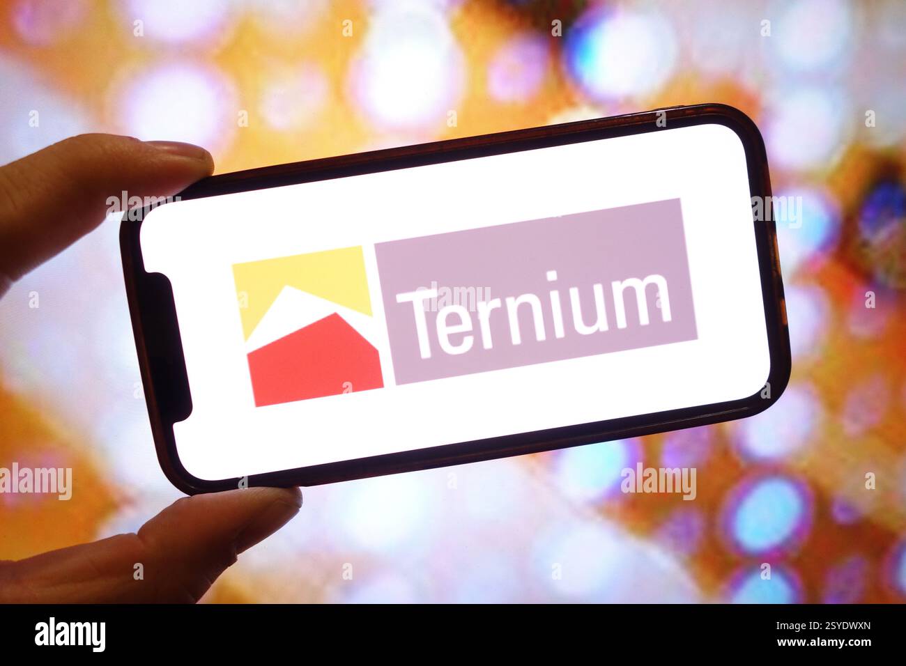 In this photo illustration, the Ternium S.A. company logo is seen ...