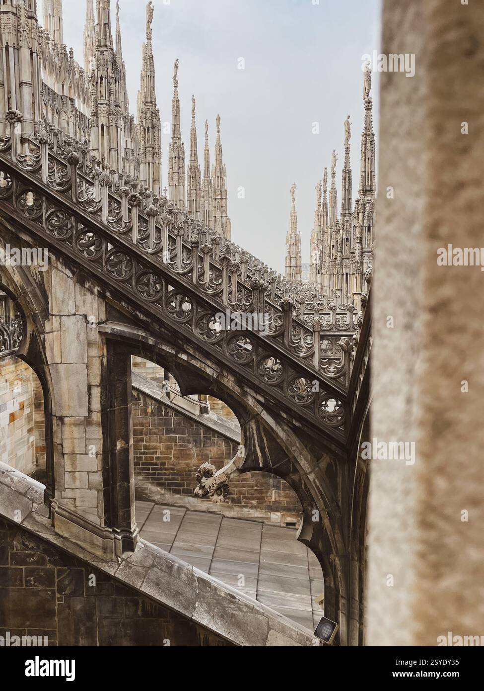 A detailed view of Gothic architecture showcasing ornate flying ...