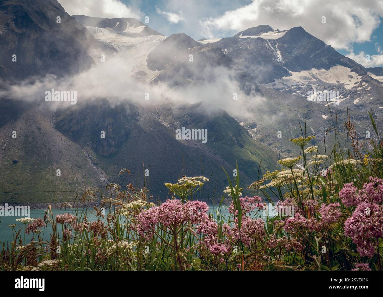 High Mountain Reservoir, Kaprun, Austria. turquoise water, wild flowers ...