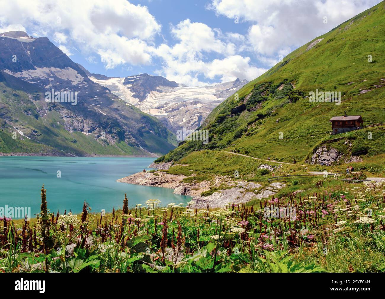 High Mountain Reservoir, Kaprun, Austria. turquoise water, wild flowers ...