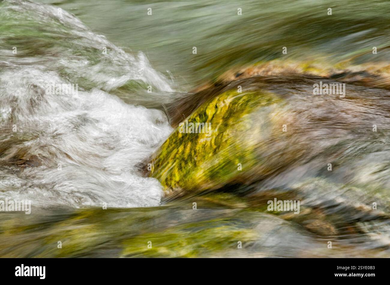Clear water cascades over smooth, moss-covered stones in a tranquil ...