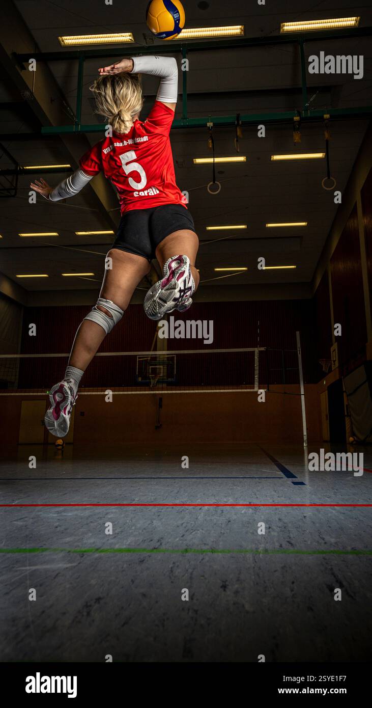Aerial volleyball practice indoors with off camera flash Stock Photo ...